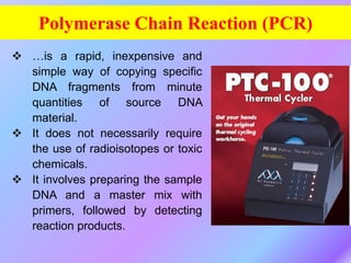 Molecular biology lecture | PPT
