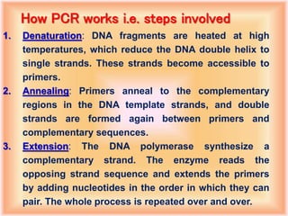 Molecular biology lecture | PPT