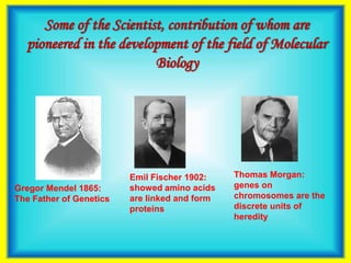 Molecular biology lecture | PPT