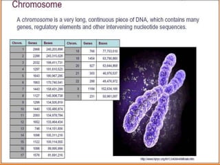 Molecular biology lecture | PPT
