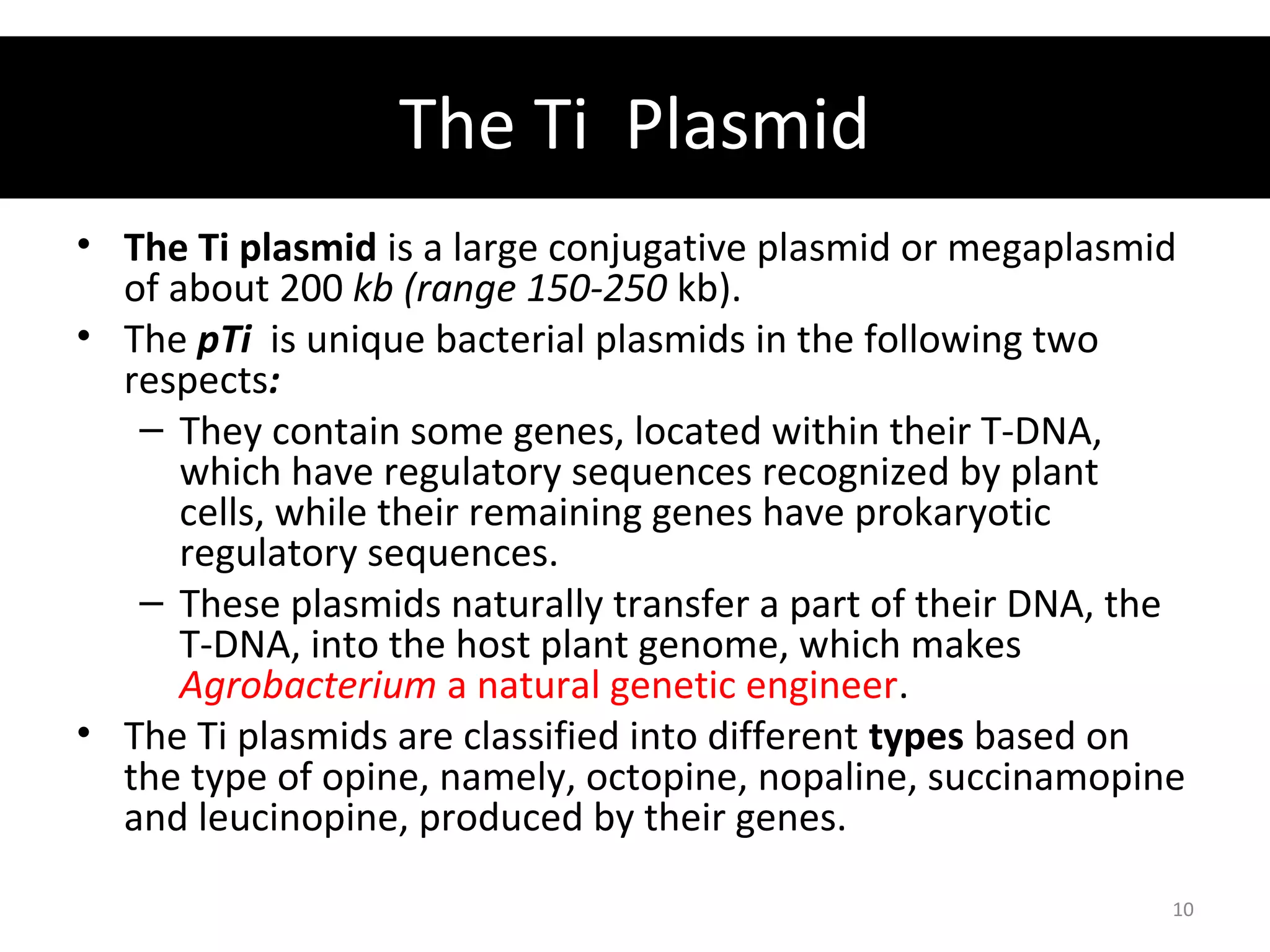 Molecular Biology of Agrobacterium Infection | PPT
