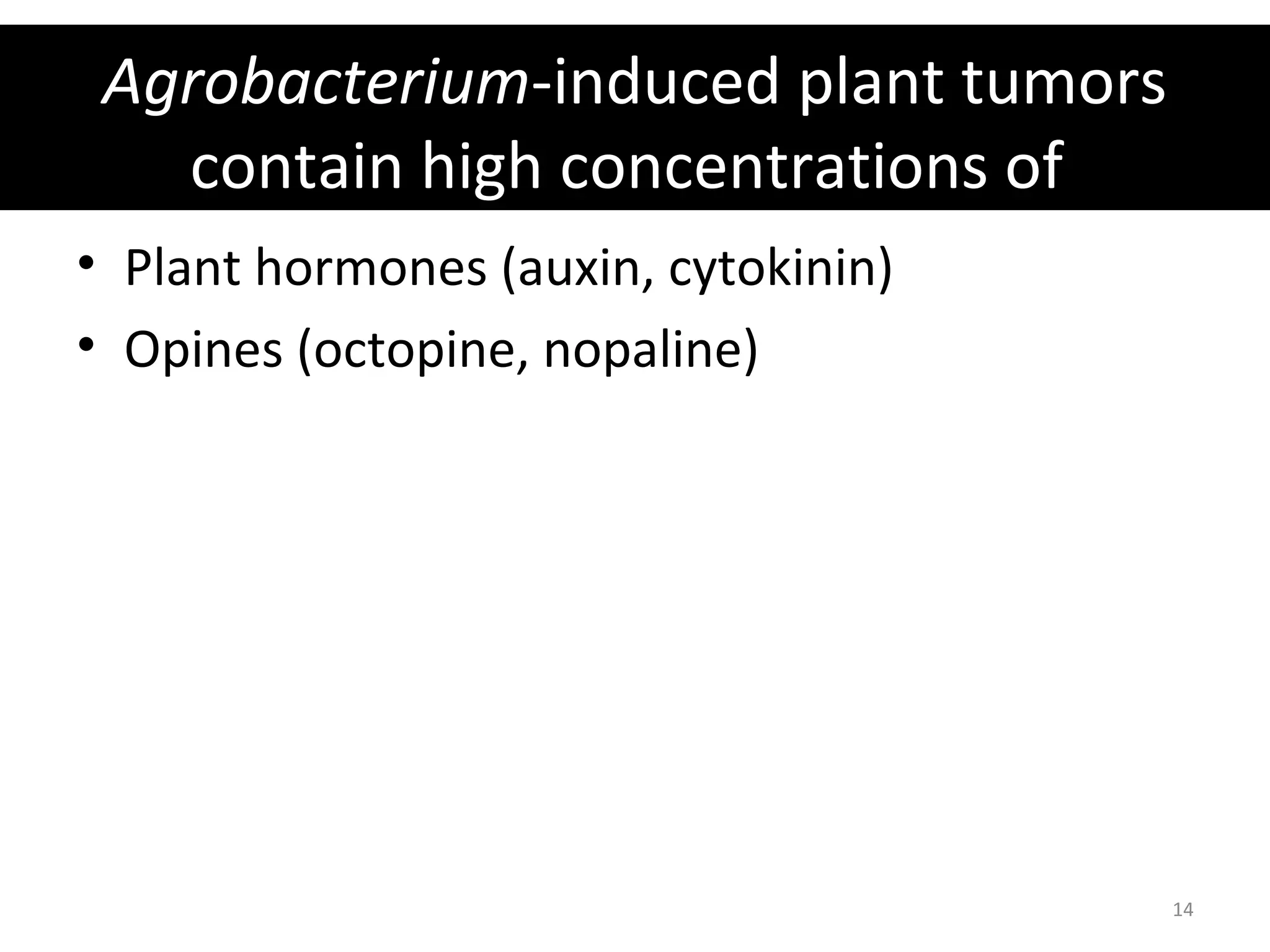 Molecular Biology of Agrobacterium Infection | PPT