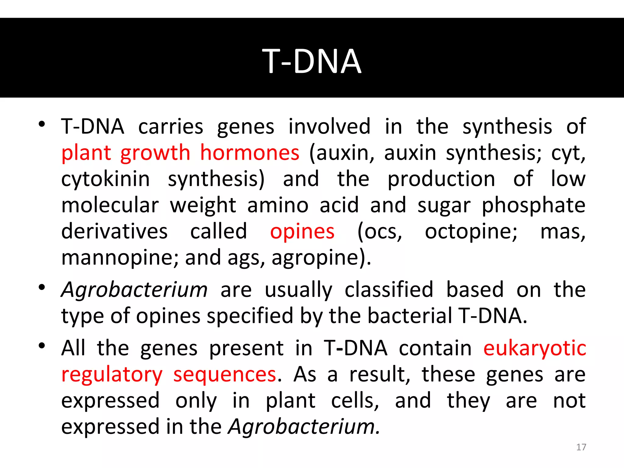 Molecular Biology of Agrobacterium Infection | PPT