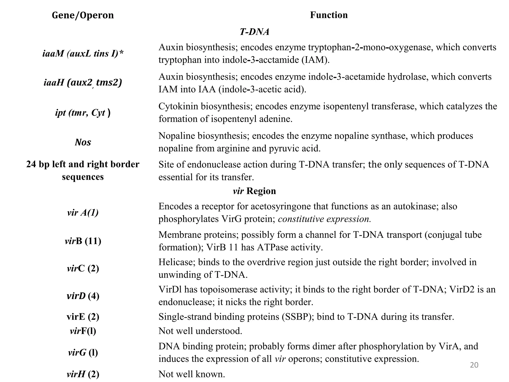 Molecular Biology of Agrobacterium Infection | PPT