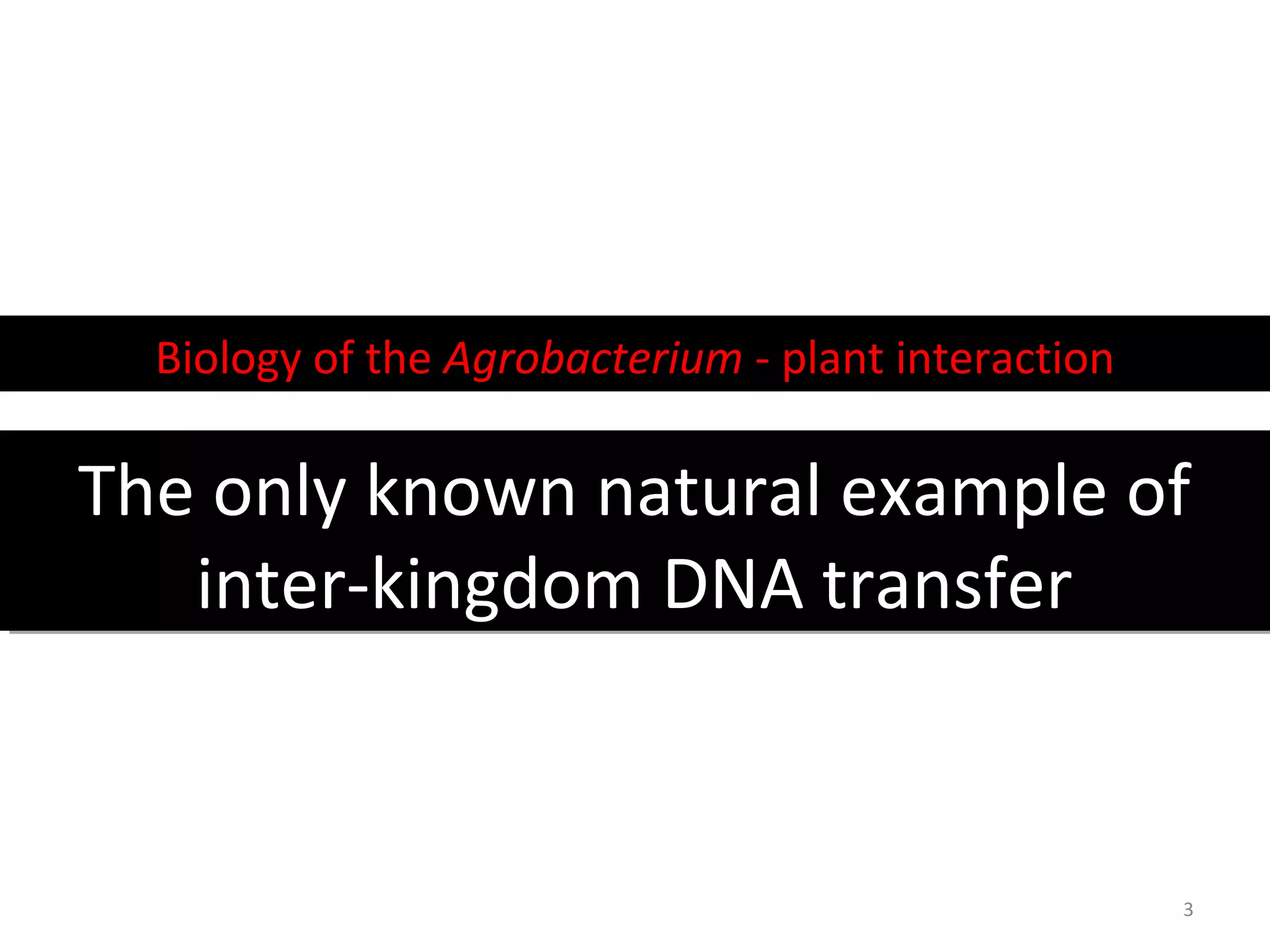 Molecular Biology of Agrobacterium Infection | PPT
