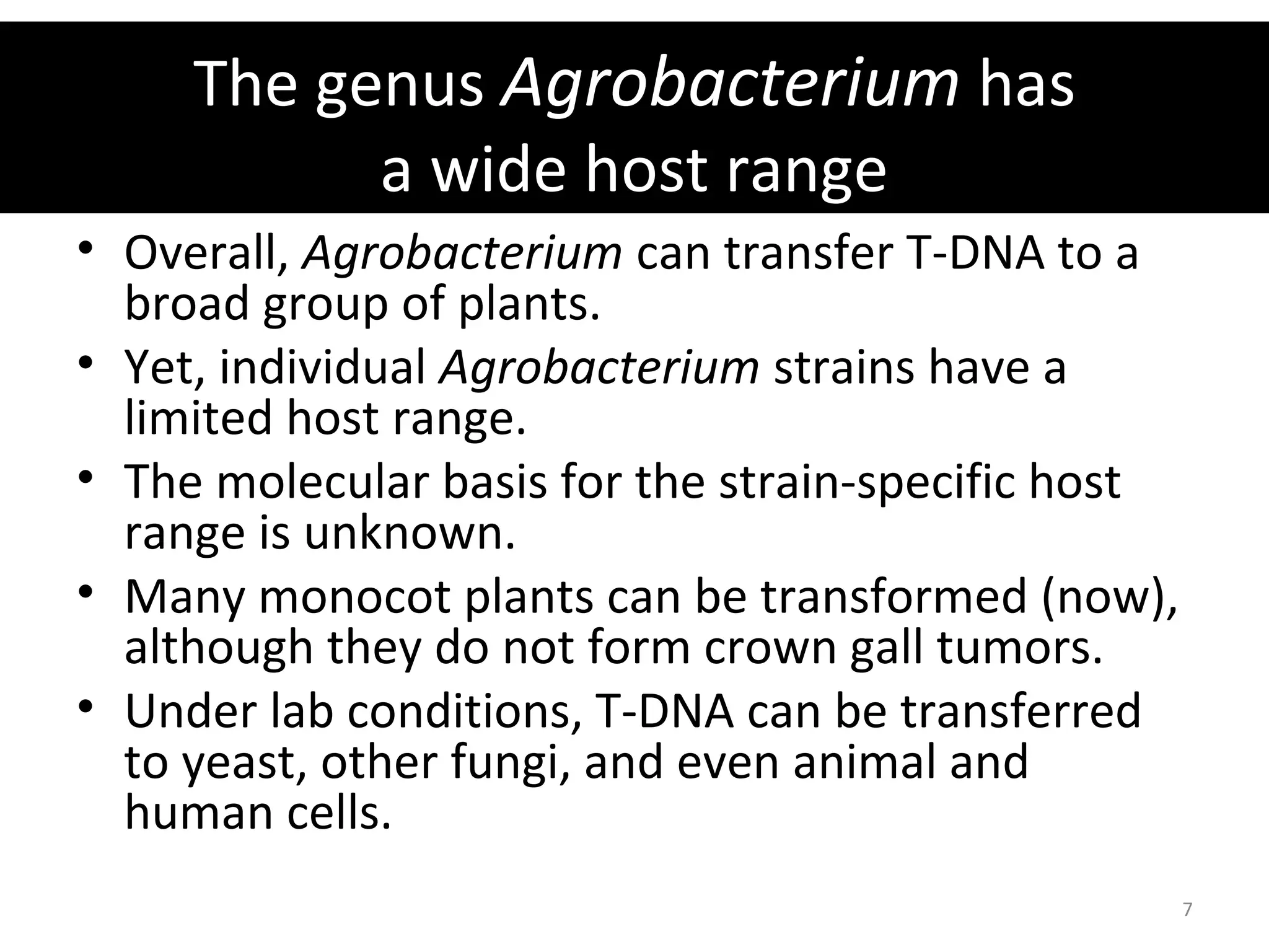 Molecular Biology of Agrobacterium Infection | PPT