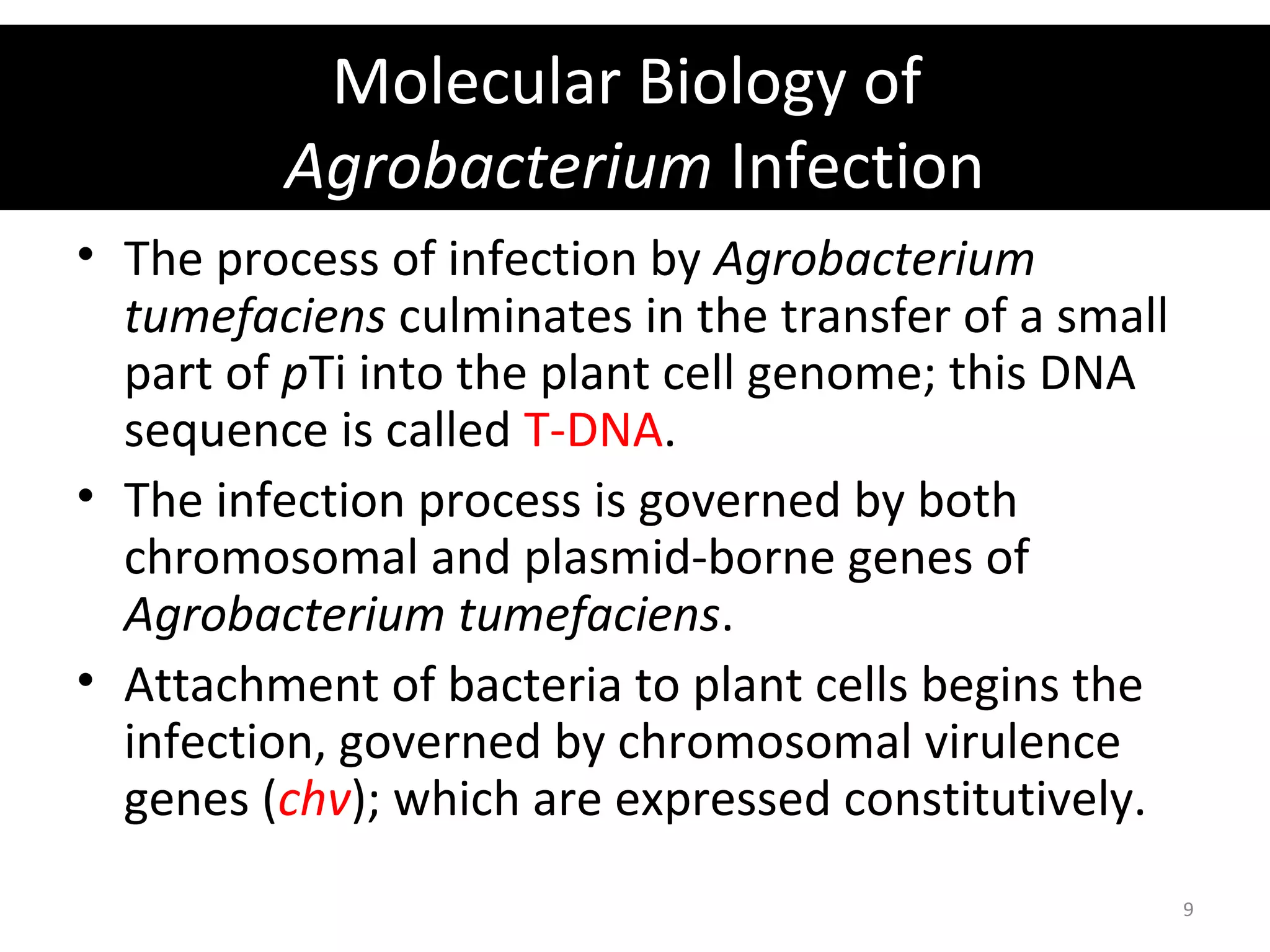 Molecular Biology of Agrobacterium Infection | PPT