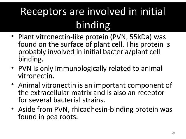 Molecular Biology of Agrobacterium Infection | PPT