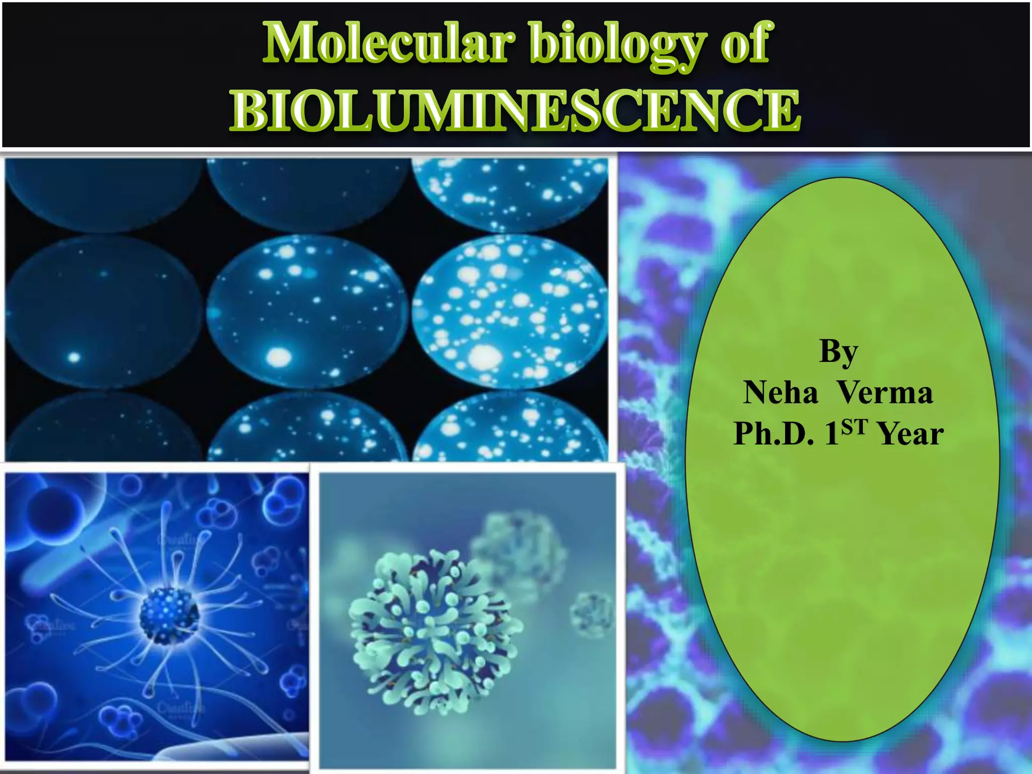 Molecular biology of bioluminescence myppt | PPTX