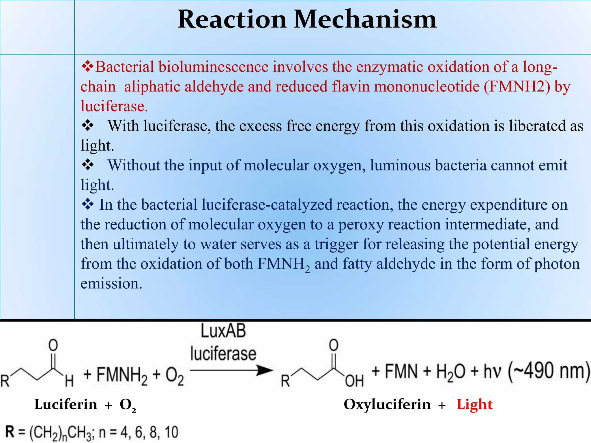 Molecular biology of bioluminescence myppt | PPTX