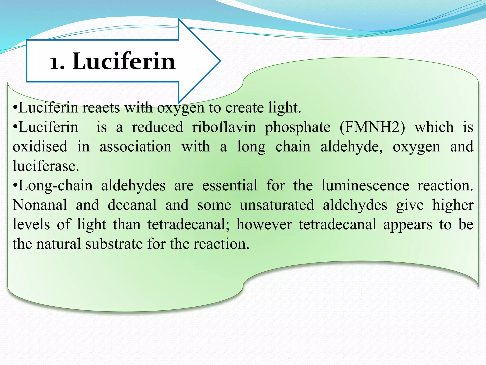 Molecular biology of bioluminescence myppt | PPTX