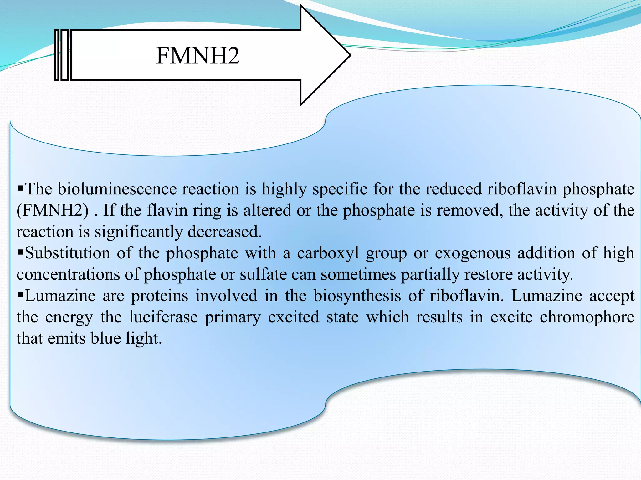 Molecular biology of bioluminescence myppt | PPTX