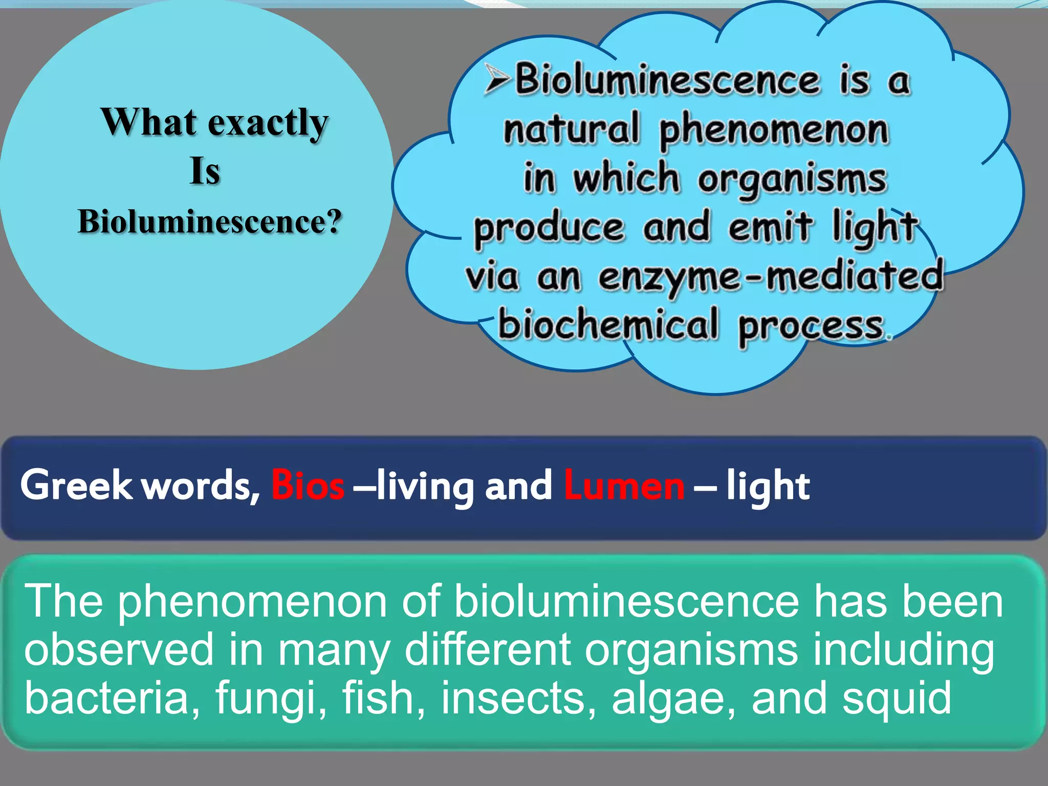 Molecular biology of bioluminescence myppt | PPTX