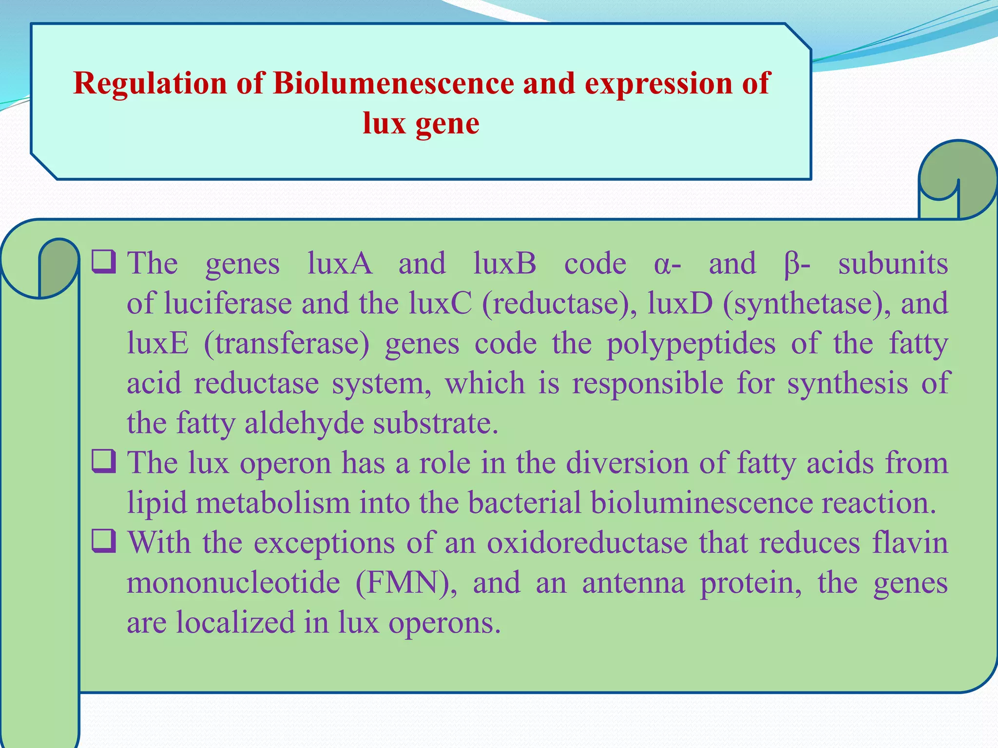 Molecular biology of bioluminescence myppt | PPTX