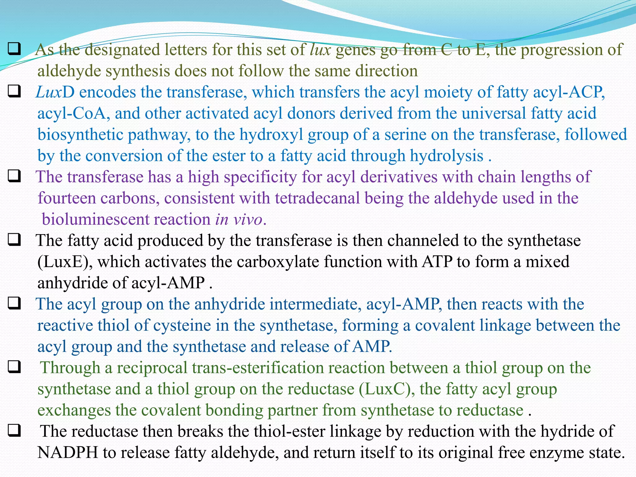 Molecular biology of bioluminescence myppt | PPTX