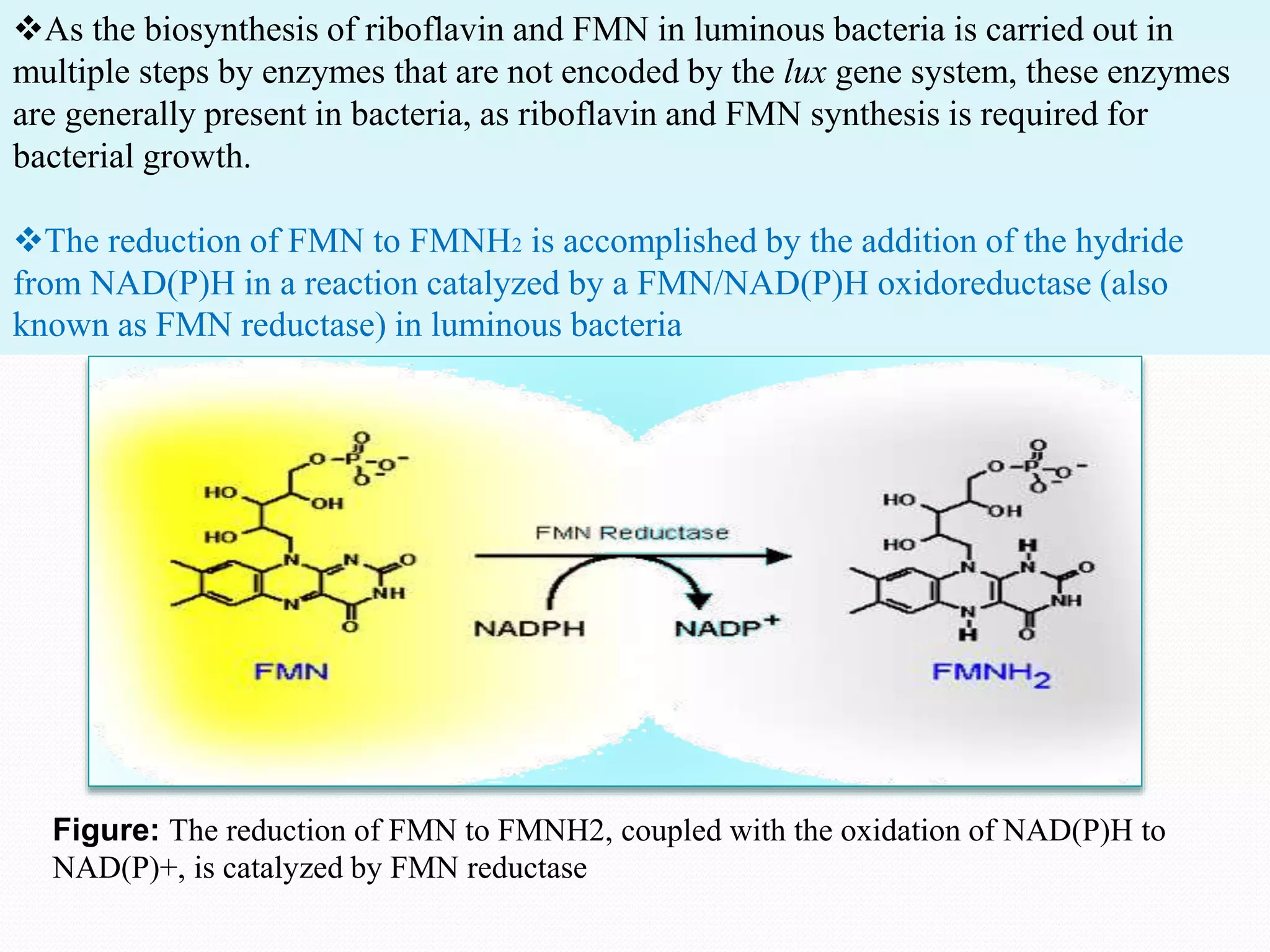 Molecular biology of bioluminescence myppt | PPTX