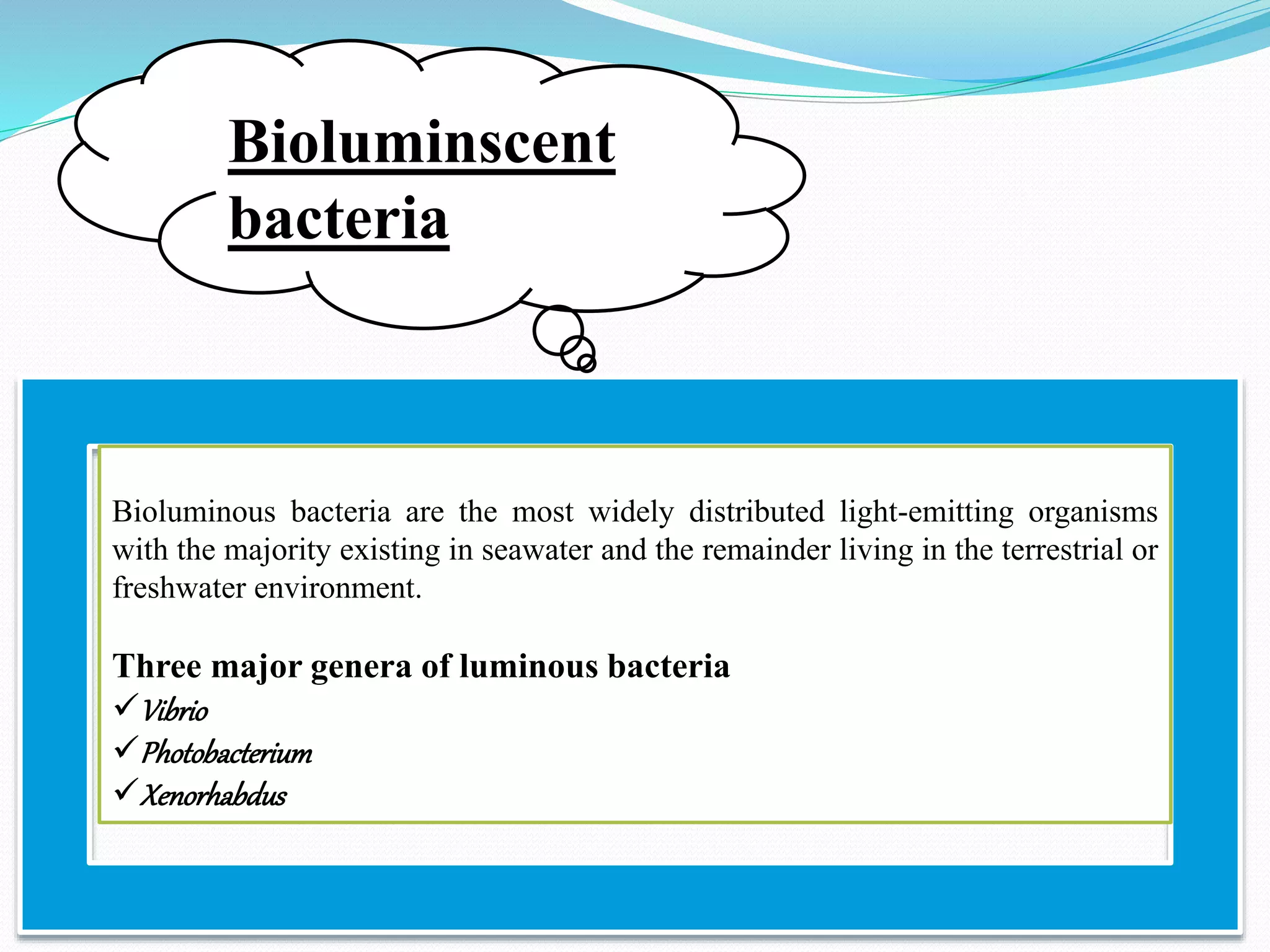 Molecular biology of bioluminescence myppt | PPTX