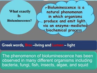 Molecular biology of bioluminescence myppt | PPTX