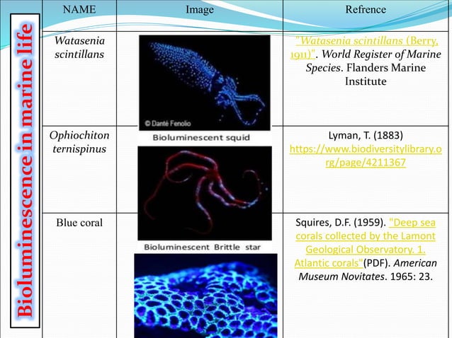 Molecular biology of bioluminescence myppt | PPT