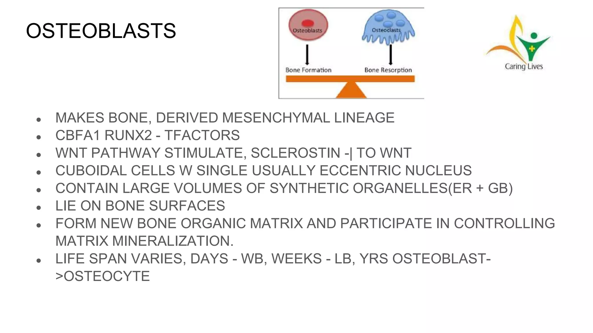 Molecular Biology of bone and blood supply.pptx