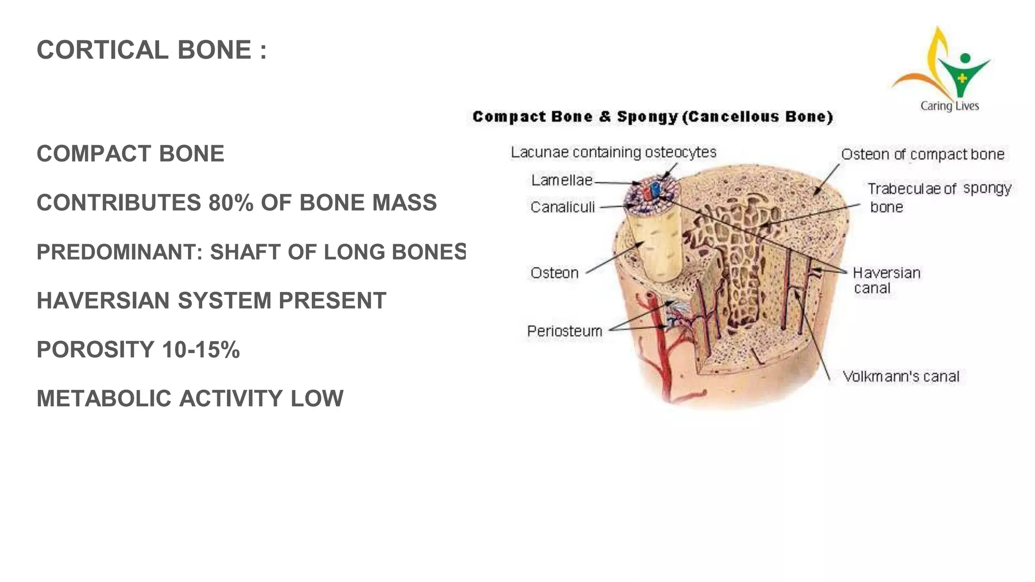 Molecular Biology of bone and blood supply.pptx