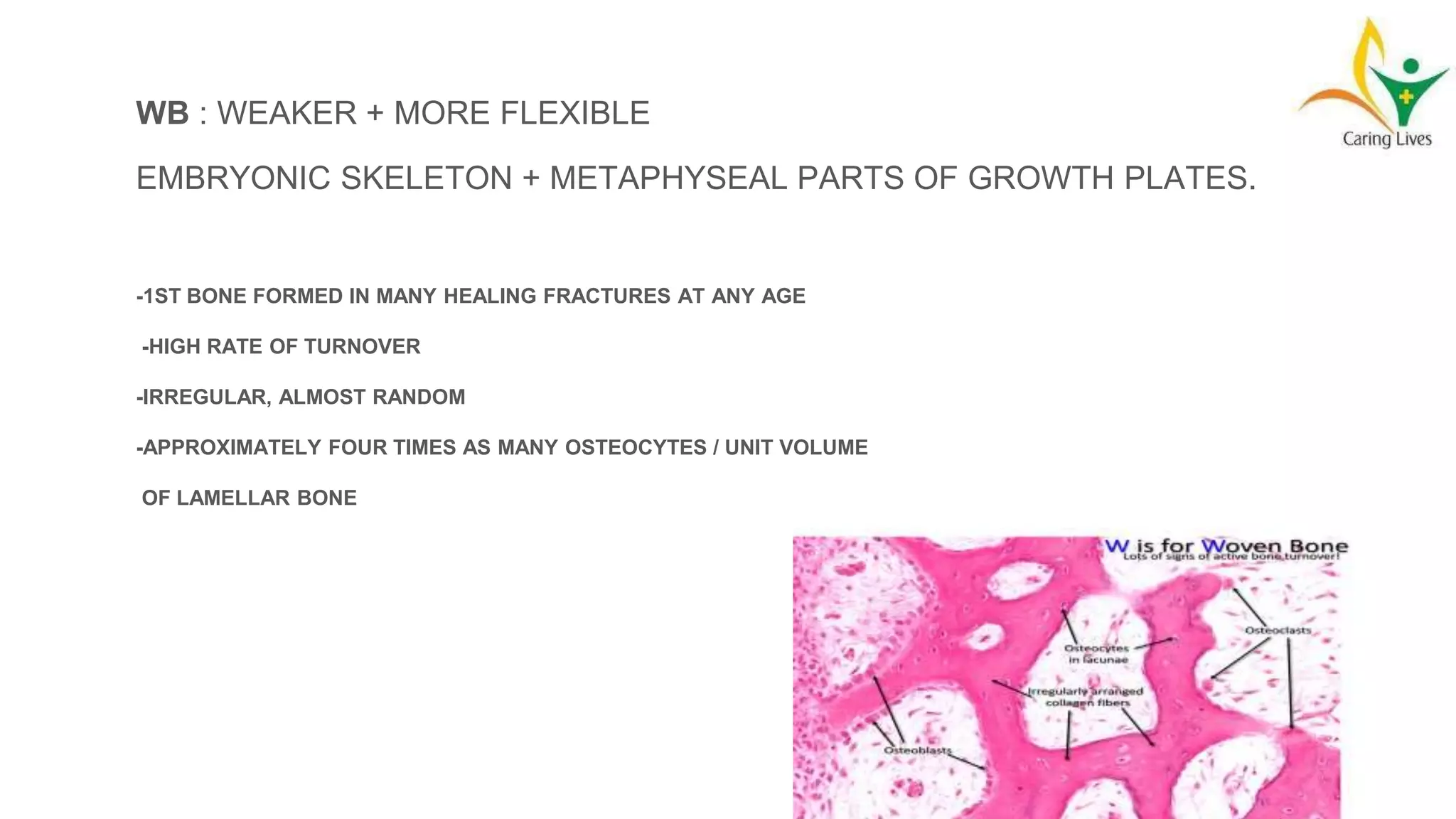 Molecular Biology of bone and blood supply.pptx