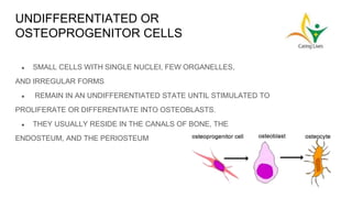 Molecular Biology of bone and blood supply.pptx