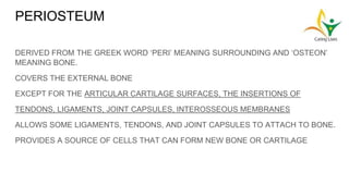 Molecular Biology of bone and blood supply.pptx