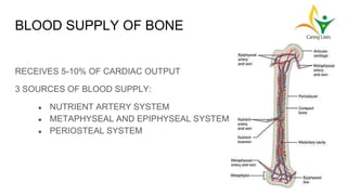 Molecular Biology of bone and blood supply.pptx