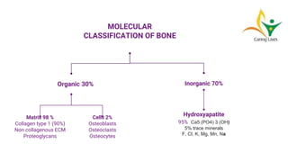 Molecular Biology of bone and blood supply.pptx