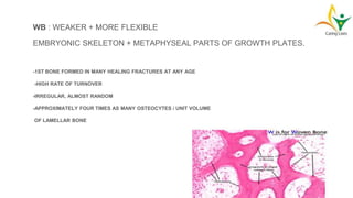 Molecular Biology of bone and blood supply.pptx