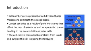 Molecular biology of cancer.pptx