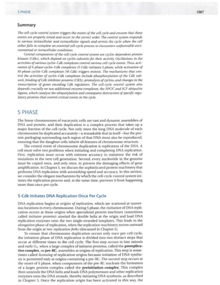 Molecular biology of the cell, 5th ed .pdf 001 | PDF