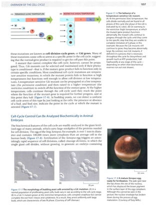 Molecular biology of the cell, 5th ed .pdf 001 | PDF