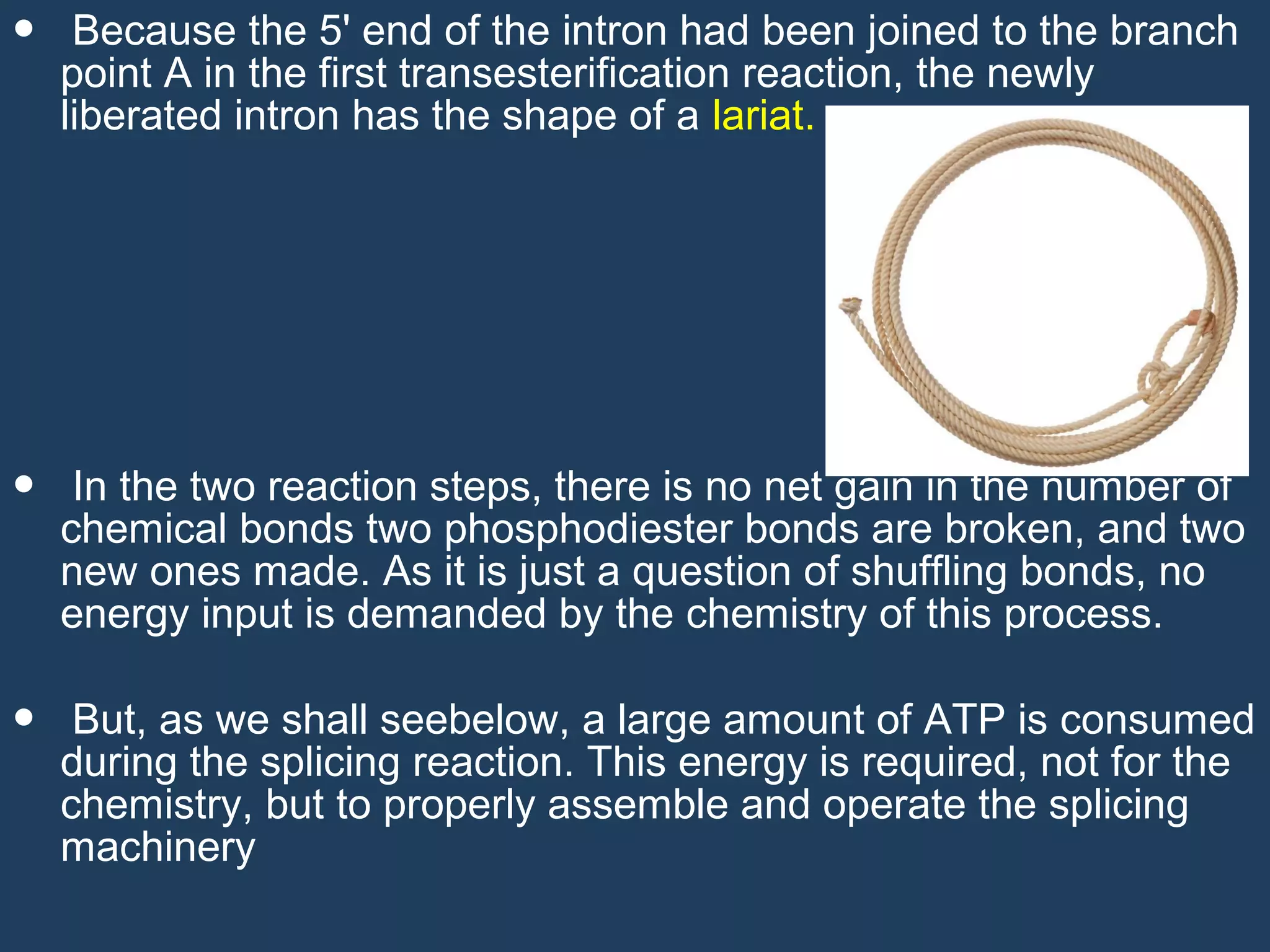 Molecular biology of the gene ch 13 rna splicing part1 | PPT ...