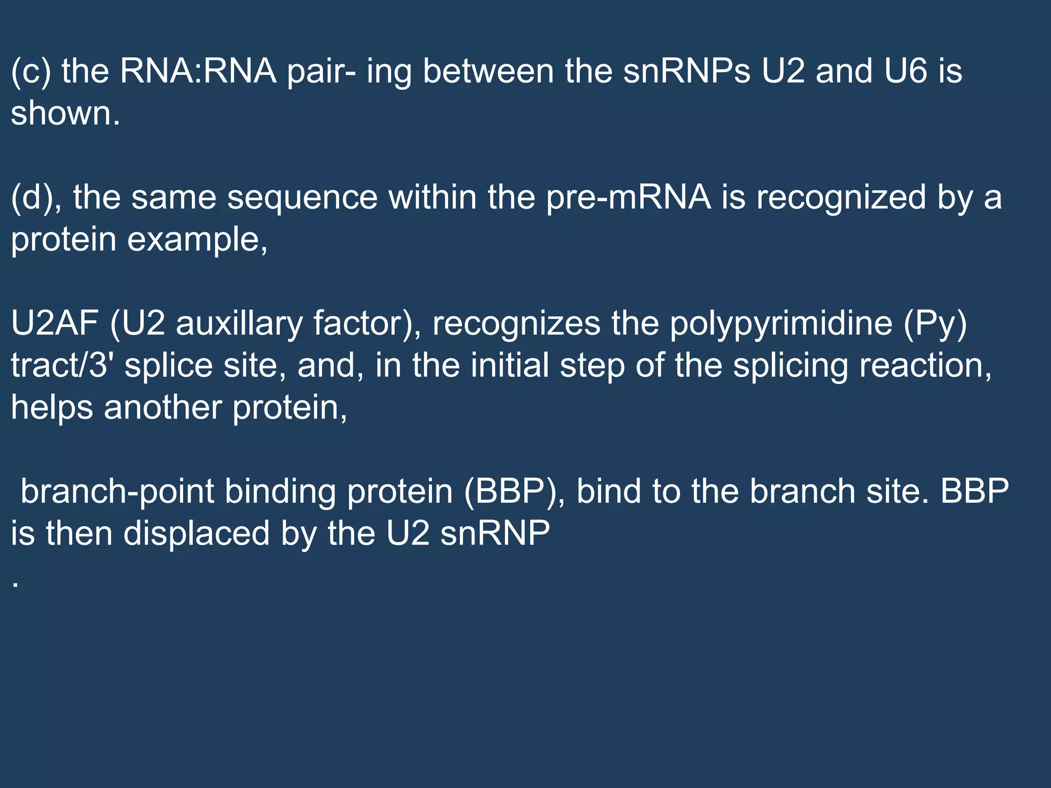 Molecular biology of the gene ch 13 rna splicing part1 | PPT | Chemistry | Science