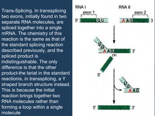 Molecular biology of the gene ch 13 rna splicing part1 | PPT ...