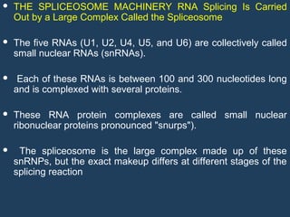 Molecular biology of the gene ch 13 rna splicing part1 | PPT ...