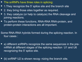 Molecular biology of the gene ch 13 rna splicing part1 | PPT ...