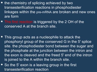 Molecular biology of the gene ch 13 rna splicing part1 | PPT ...