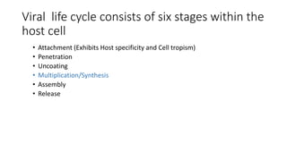 Viral Replication and its stages | PPTX