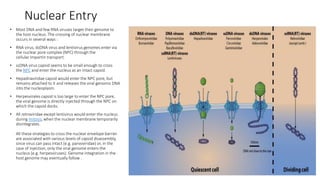 Viral Replication and its stages | PPT
