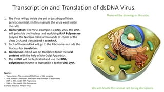 Viral Replication and its stages | PPT
