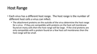 Viral Replication and its stages | PPT