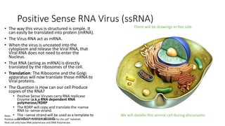 Viral Replication and its stages | PPT