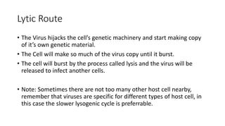 Viral Replication and its stages | PPTX