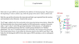 MOLECULAR BIOLOGY PPT.pptx