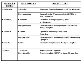 MolecularbiologyPpt.pptfgxhhhhhhhhhhhhhh | PPTX