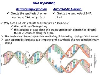 MolecularbiologyPpt.pptfgxhhhhhhhhhhhhhh | PPTX