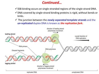 MolecularbiologyPpt.pptfgxhhhhhhhhhhhhhh | PPTX | Biological Sciences ...